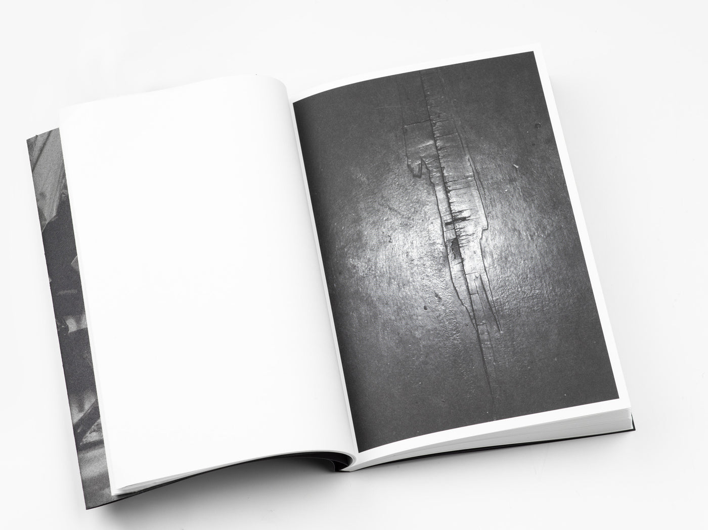 Black Threads from Meng Chiao / Justine Kurland, John Yau