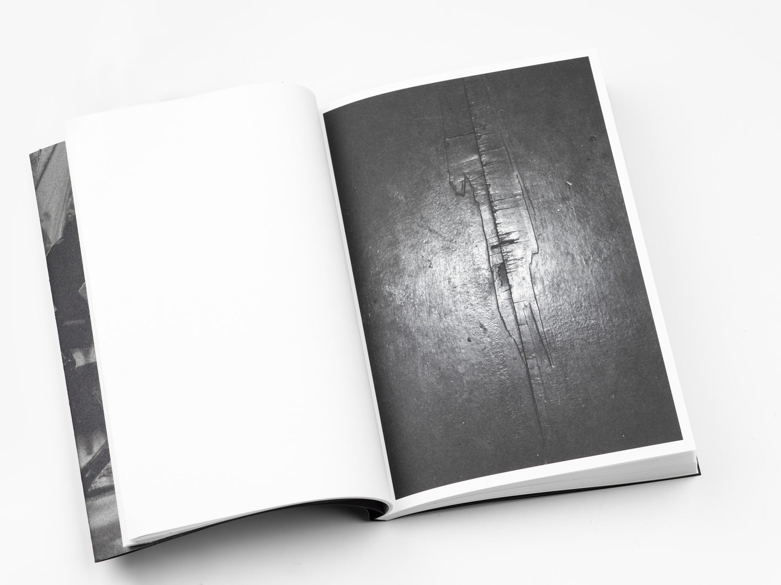 Black Threads from Meng Chiao / Justine Kurland, John Yau